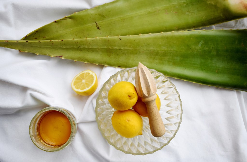 { DETOX } Aloa, Aloe Vera ! – sofyaa