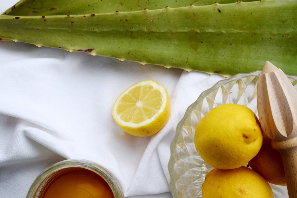 { DETOX } Aloa, Aloe Vera ! – sofyaa